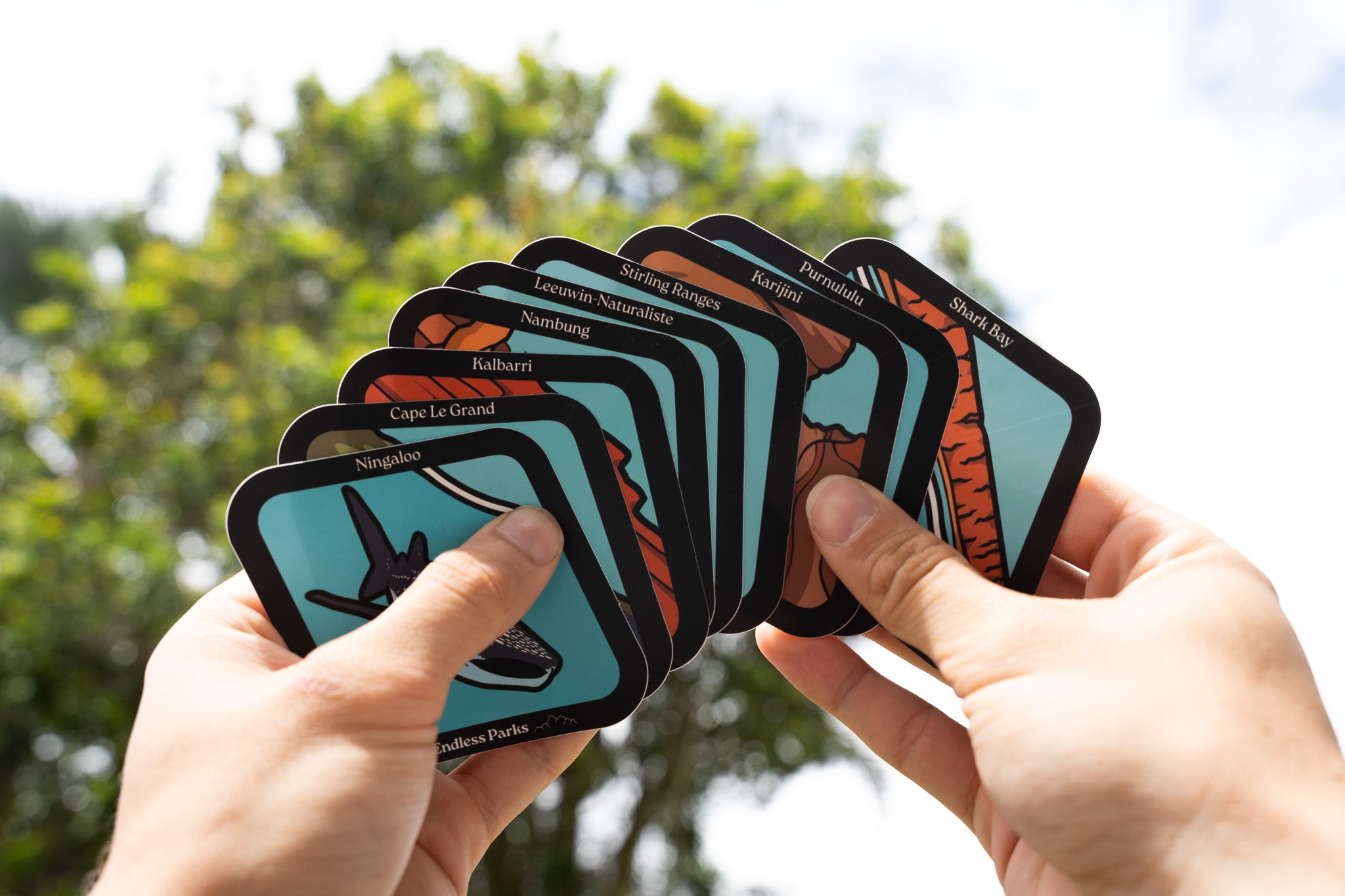 All Products – Endless Parks